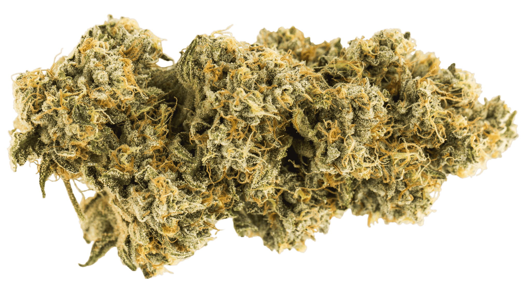 Home - Missouri Growers Cup