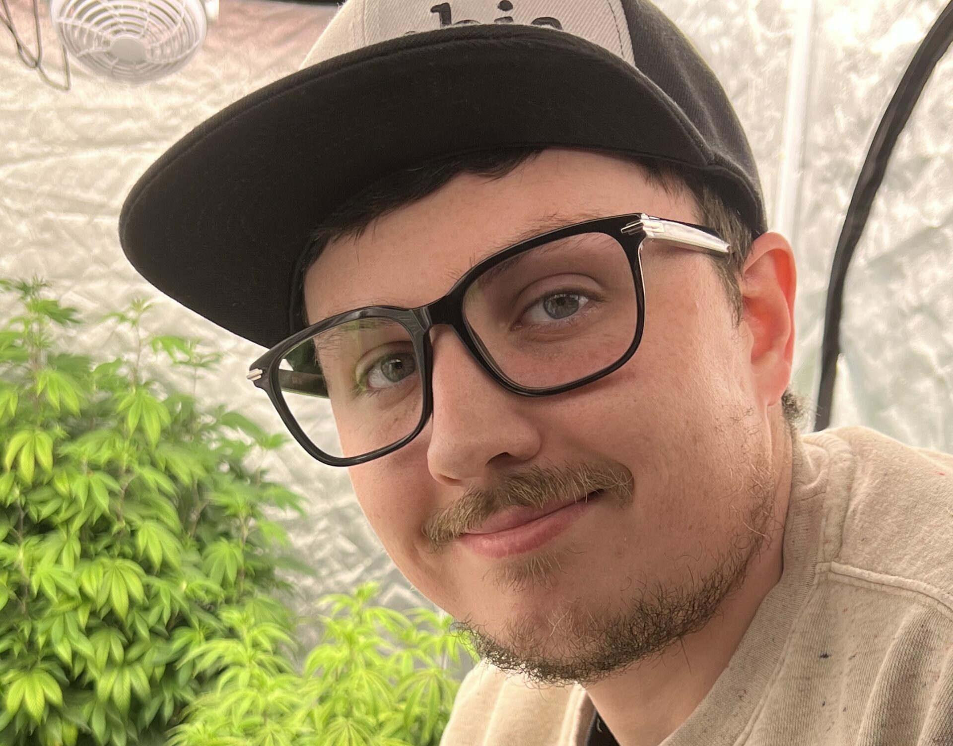 Missouri Growers Cup – Missouri Cannabis Cup