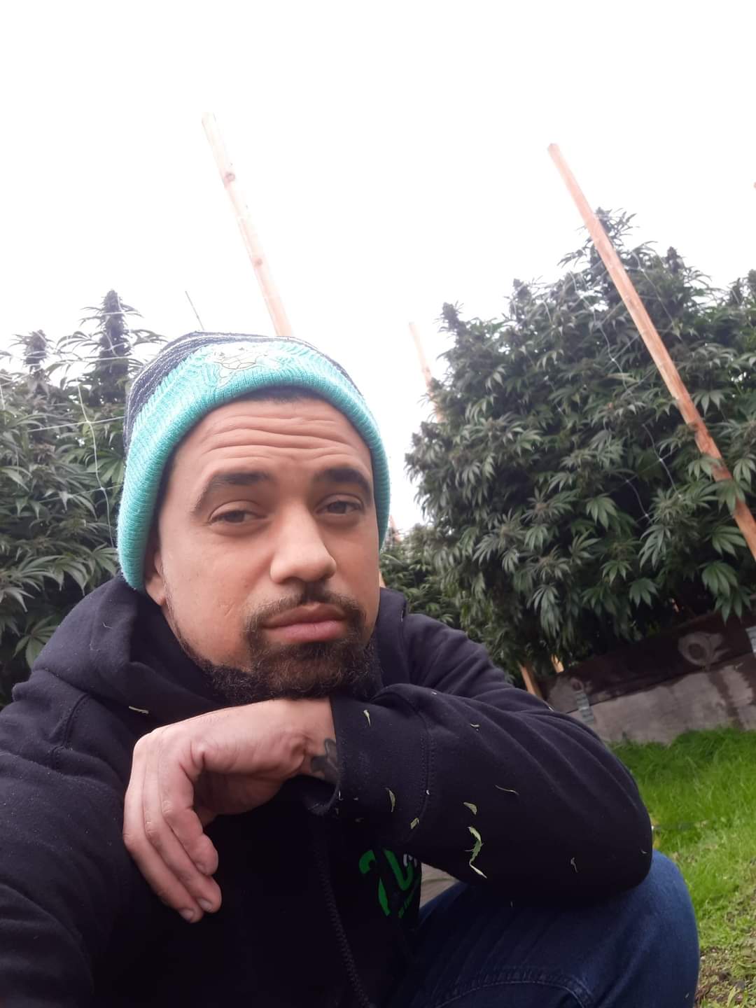 Home - Missouri Growers Cup